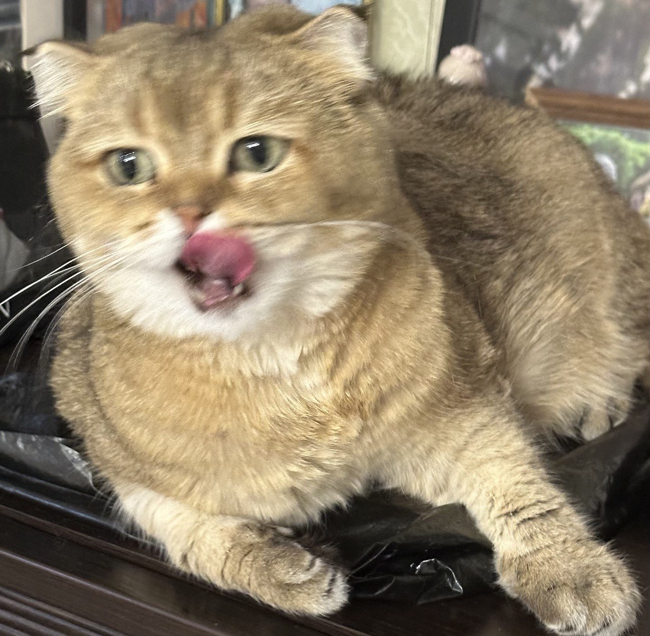 Личная страница Александры Дозморовой